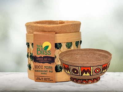 Planters – trellisblissindia