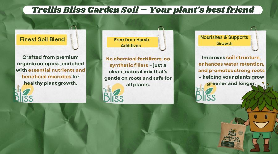 Trellis Bliss Enriched Garden Soil Mix (25Litres) – trellisblissindia